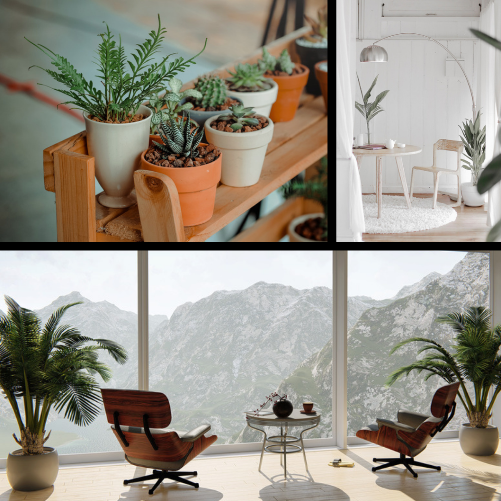 5 Simple Steps for Better Living at Home - Design Thoughts